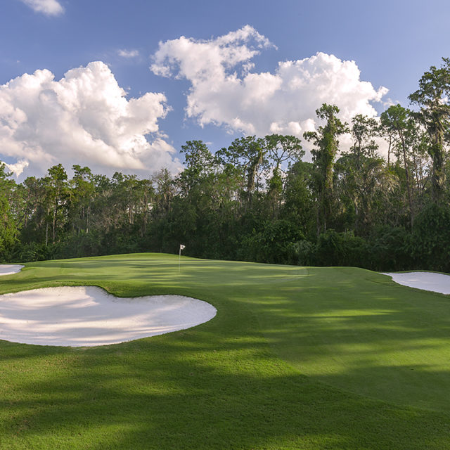 Disney Golf - Academy Travel