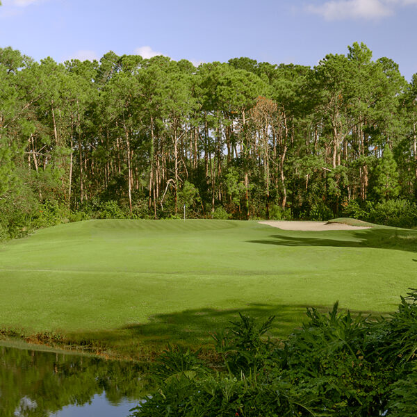 Disney Golf - Academy Travel